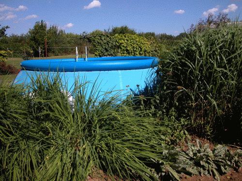 Ātrie peldbaseini – piepūšamie! | LA.LV