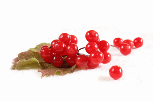 Irbenes drīz būs gatavas! Ko no tām gatavo? | LA.LV