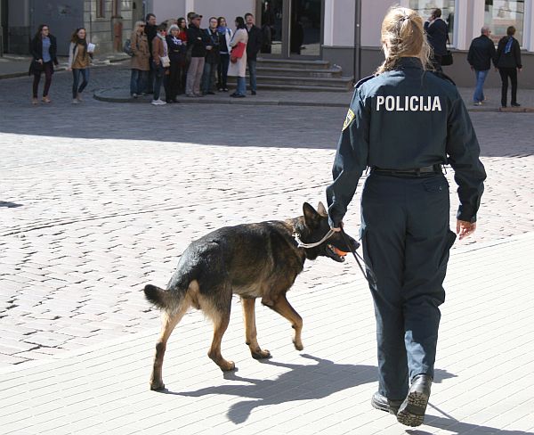 “Izkrīt savu jaunības grēku dēļ…” Kāpēc lielākā daļa Valsts policijas ...
