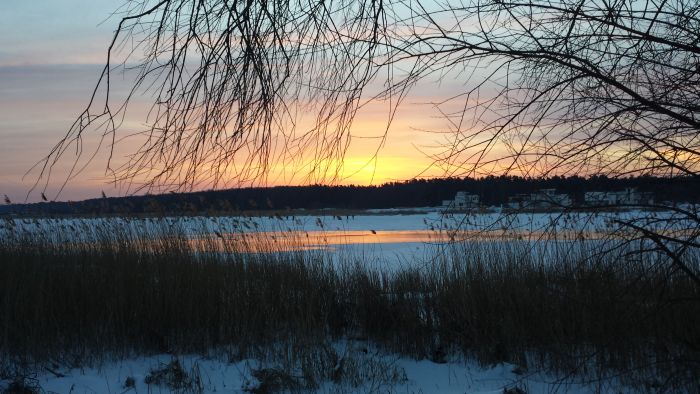 VIDEO. Toms Bricis sociālajos medijos dalījies ar retu dabas parādību ...