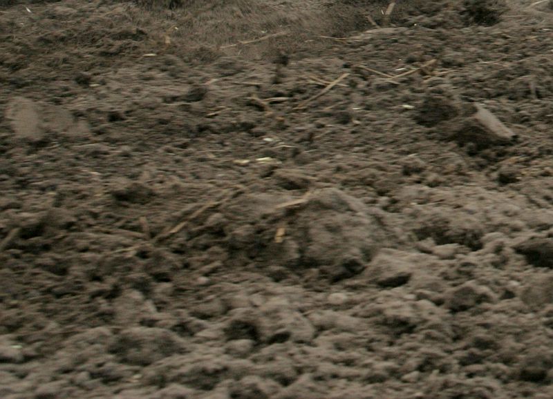 Dārza tehnikas klāsta karstākā aktualitāte – zemes frēze | LA.LV