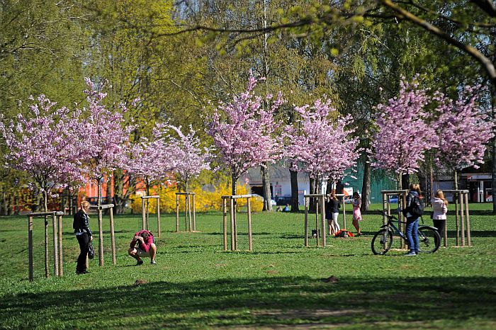 Piektdien gaisa temperatūra tuvosies +20 grādiem | LA.LV