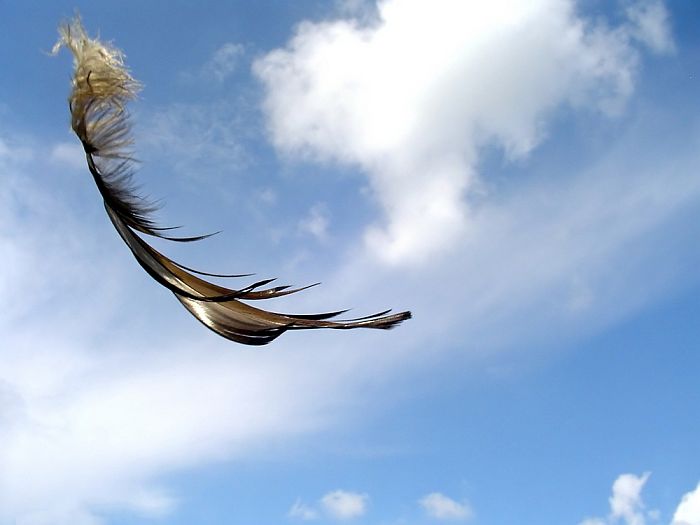 Jutīgs nervs, jūtīga dvēsele… | LA.LV