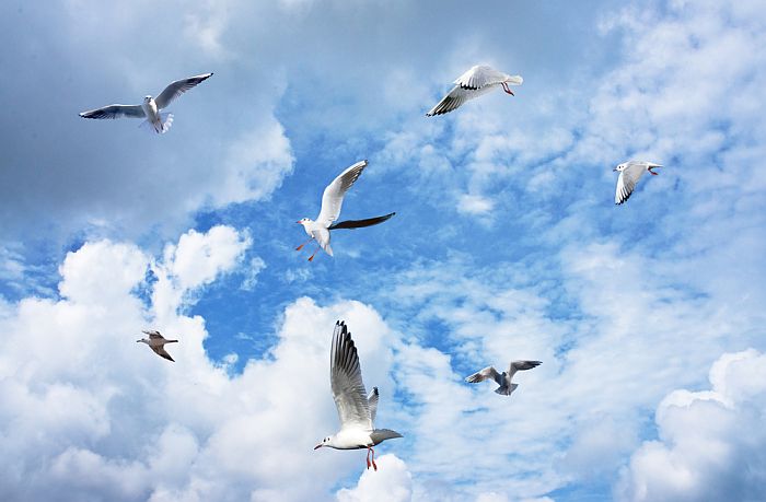 Dienā no rietumiem debesis skaidrosies | LA.LV