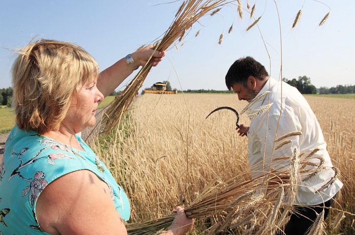 Zvārdes pagasta “Andulaišos” nopļauj rudzus Miera maizei | LA.LV