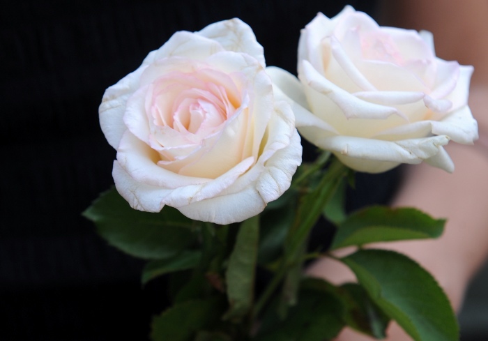 Jaunu sievieti nāvējoši notriec vilciens | LA.LV