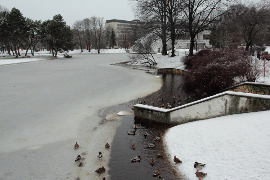 Brīdina par iespējamu Rīgas teritoriju applūšanu pirmdienas pēcpusdienā ...