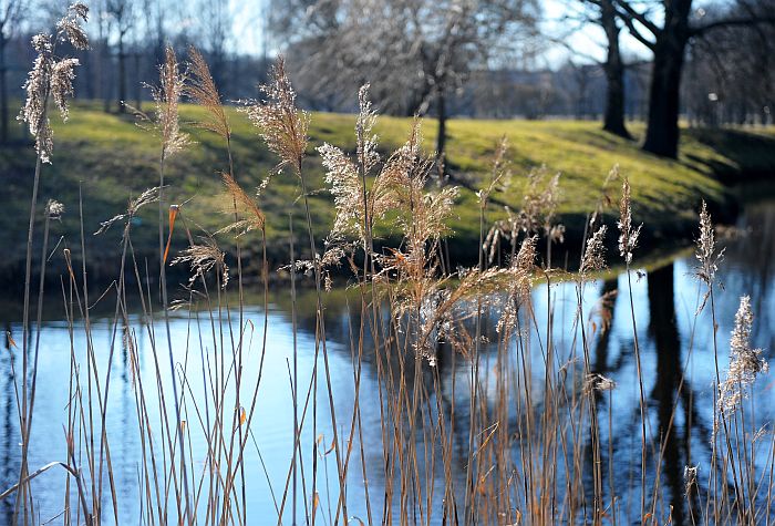 Sestdiena Latvijā būs saulaina | LA.LV