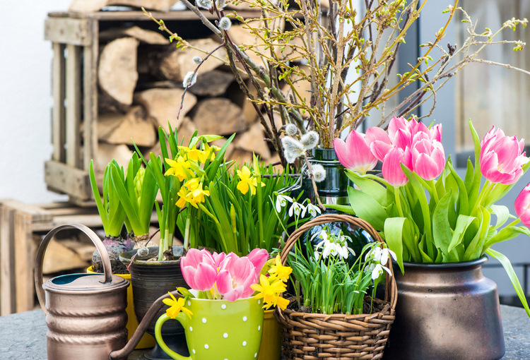 Krāšņais ziedu horoskops. Katrai zīmei – trīs variācijas! | LA.LV