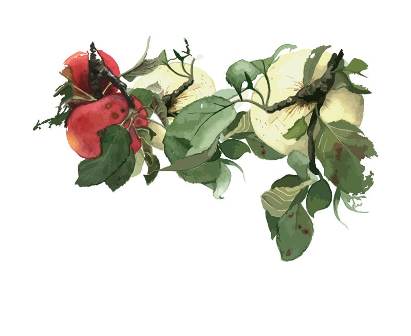 Inga Gaile: Varbūt augustā pienāks brīdis, kad es spēšu salīgt mieru ar ...