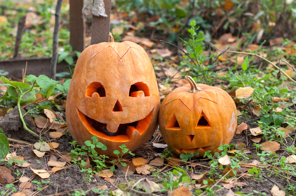 Spocīgas Helovīna svinības | LA.LV