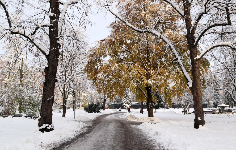 Rīga – Eiropas sniega galvaspilsēta | LA.LV