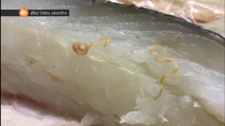 Pretīgs pārsteigums:”Rimi” nopirktā zivs izrādās pilna ar parazītiem ...