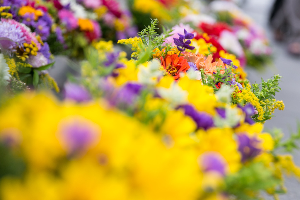 Sestdiena gaidāma mākoņaina | LA.LV