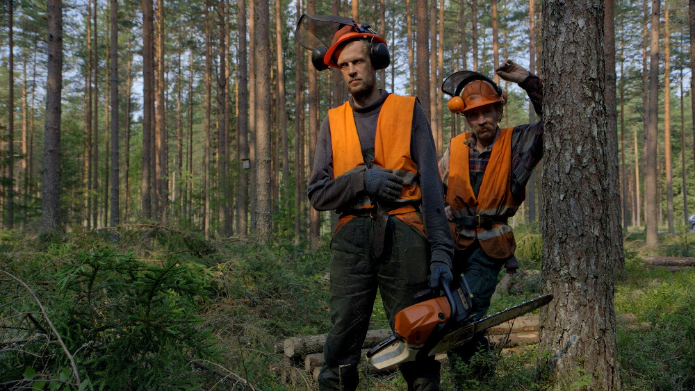 Ivars Zviedris uzņēmis trilleri par mežizstrādes biznesu | LA.LV