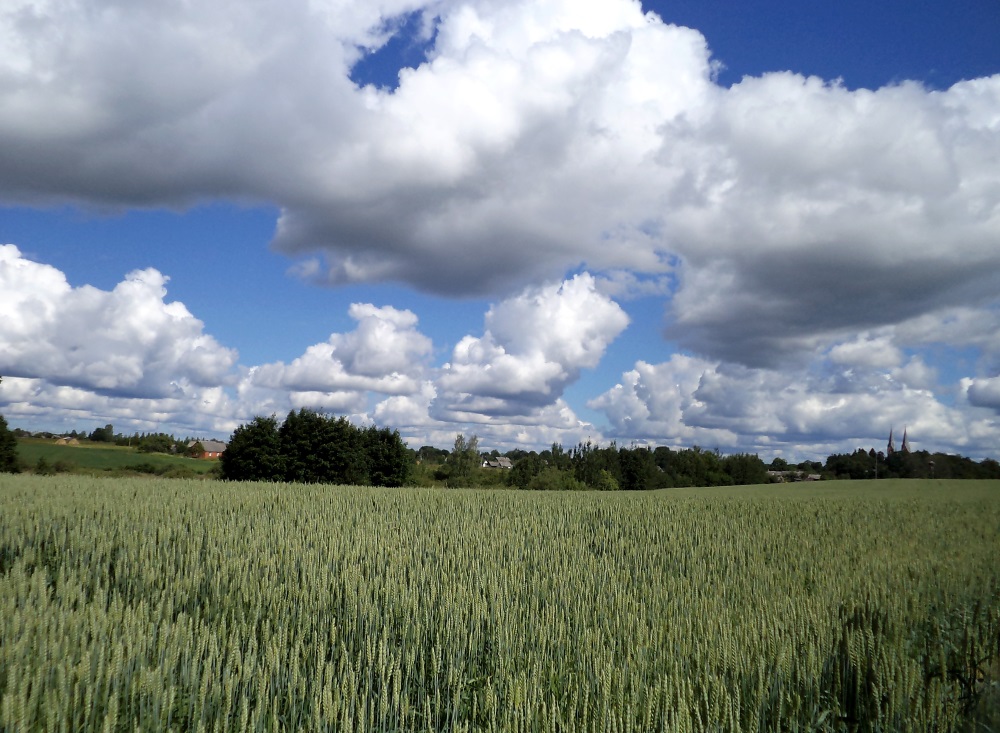 Debesis apmāksies un vietām gaidāms īslaicīgs lietus | LA.LV