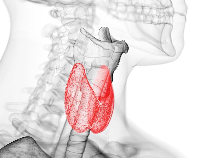 Svara pieaugums, neregulāra vēdera izeja, izvalbītas acis… Vai ...