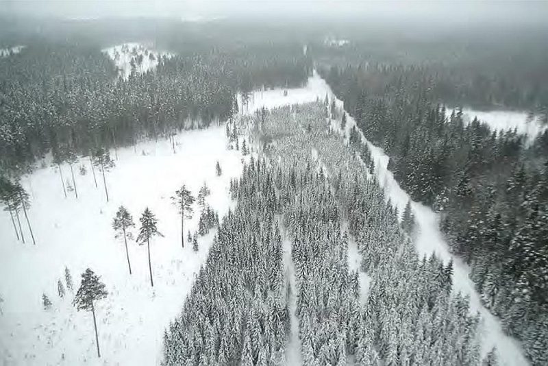 Meža īpašniekiem arvien bažas par nākamo gadu nozarē | LA.LV