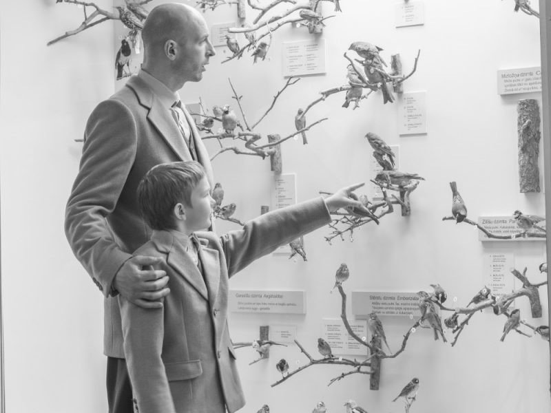 Ināra Slucka uz Nacionālā teātra skatuves iedzīvinās Regīnas Ezeras ...