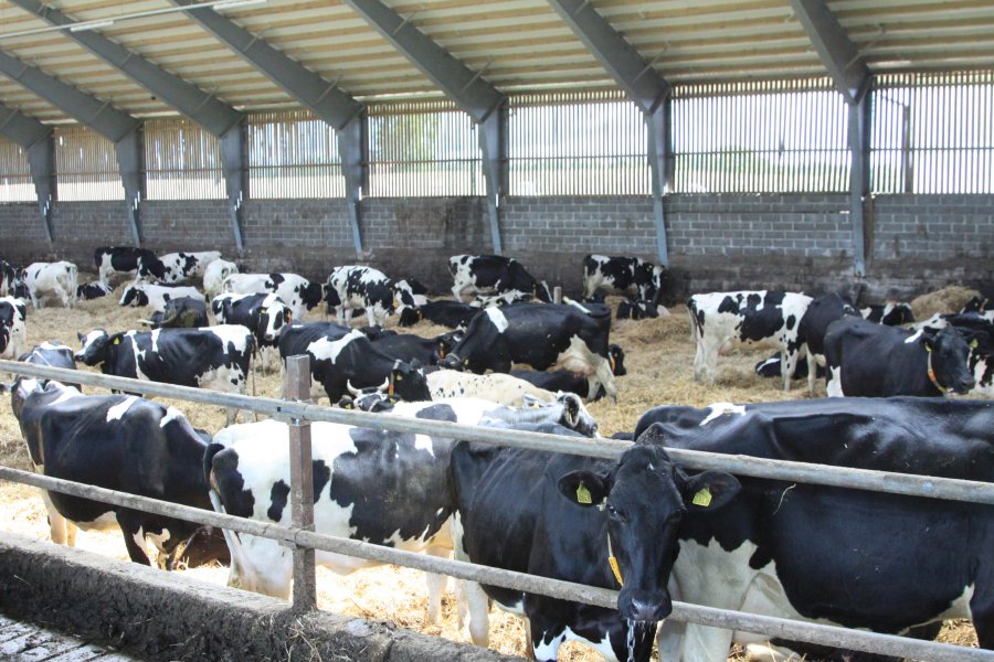 “Agrofirma Zelta Druva” pērn samazinājusi zaudējumus | LA.LV