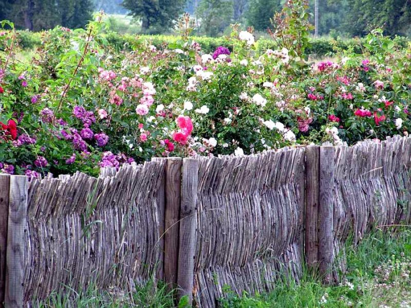 Sēta kā mūsu senčiem. Padomi, kā tādu uztaisīt | LA.LV