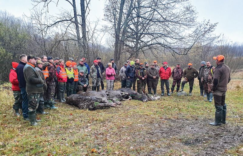 Medniekstāsti. Mans pirmais alnis | LA.LV
