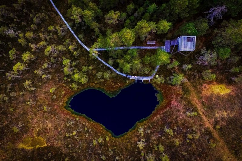 Vilinošais, bet ļoti bīstamais purvs: 8 padomi, kas kritiskā situācijā ...