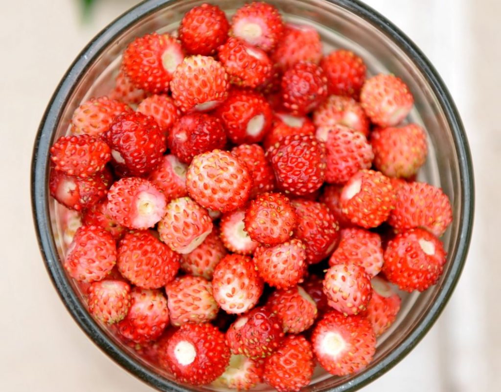 5 padomi, kā dārzā ieaudzēt meža zemenes | LA.LV