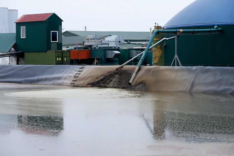Lai mazinātu emisijas, govis no kūtīm varētu dzīt ganībās. Vai tas nav ...