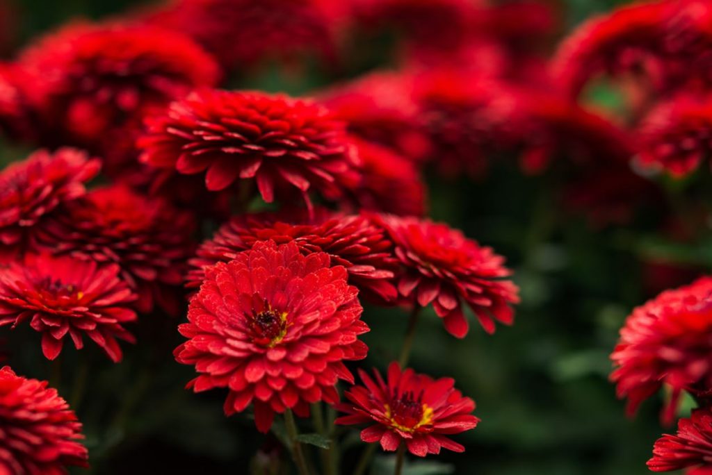 How To Plan The Work According To The Eastern Horoscope From 11 To 16 how-to-plan-the-work-according-to-the-eastern-horoscope-from-11-to-16
