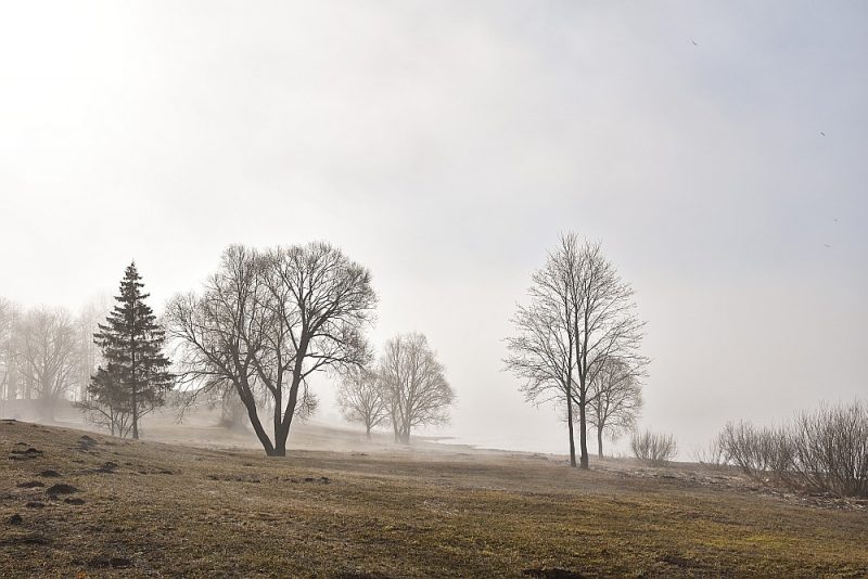 Lietus, migla un pērkons – kāds laiks gaidāms trešdien? | LA.LV