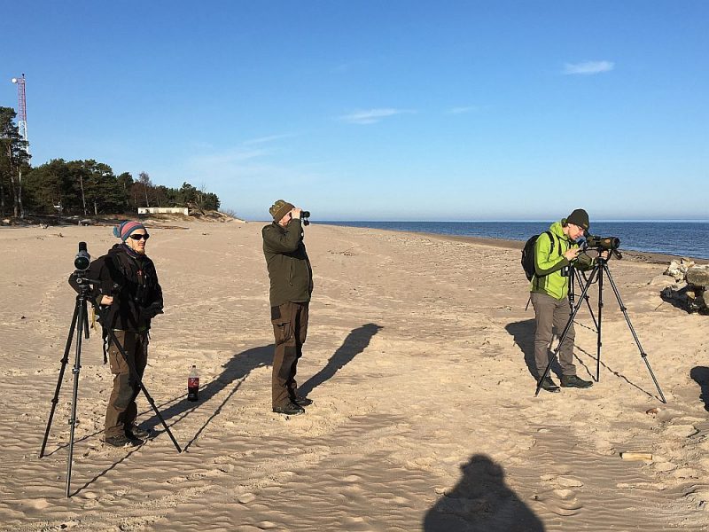 Daba mostas un acīgam vērotājam piedāvā iespaidīgas izklaides. Kurp ...
