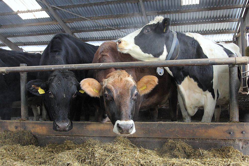 Skaitlis izklausās ļoti “pieklājīgs” – Latvija pērn eksportēja preces ...