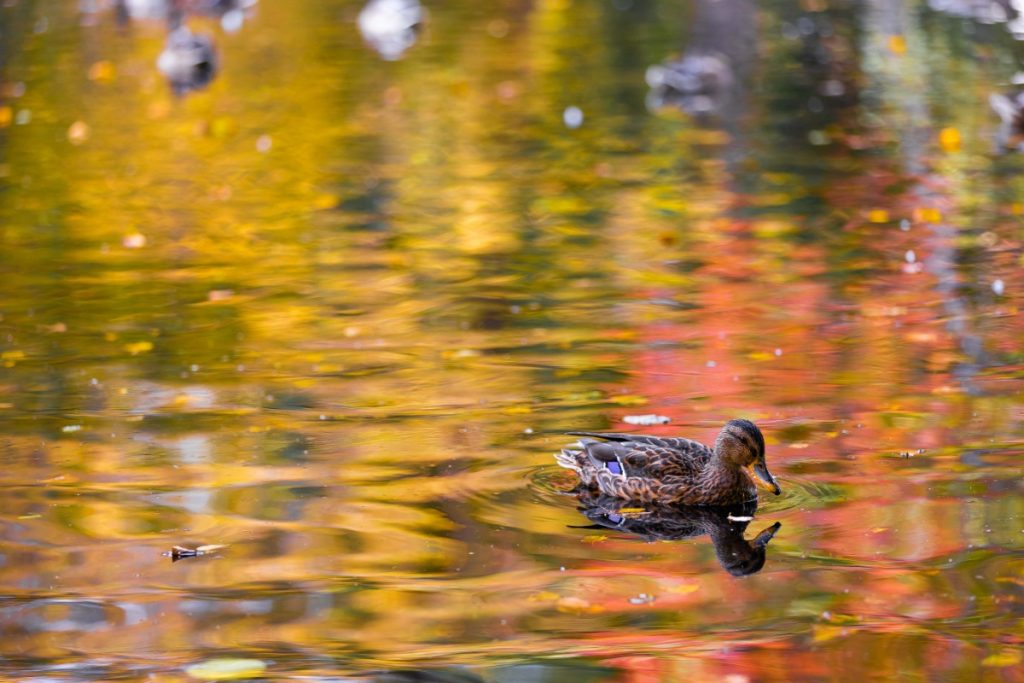 Cik silta būs otrdiena? | LA.LV