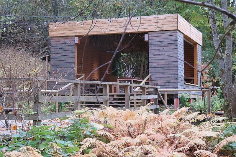 Laiks doties papardēs | LA.LV