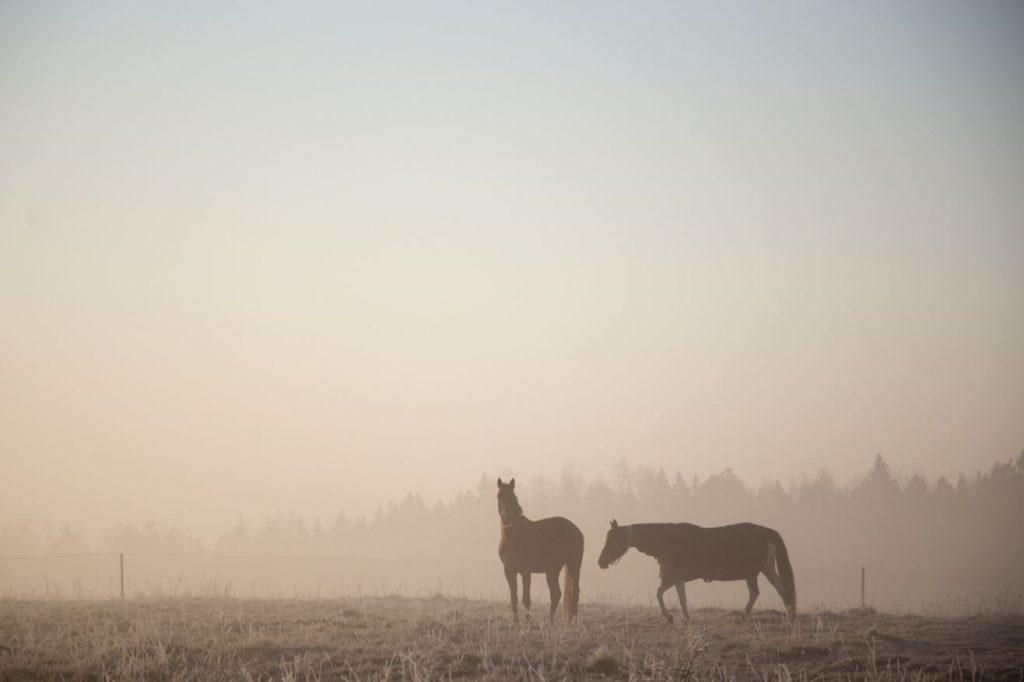 Izsludināts brīdinājums! Lielākajās Latvijas pilsētās gaidāma slikta ...