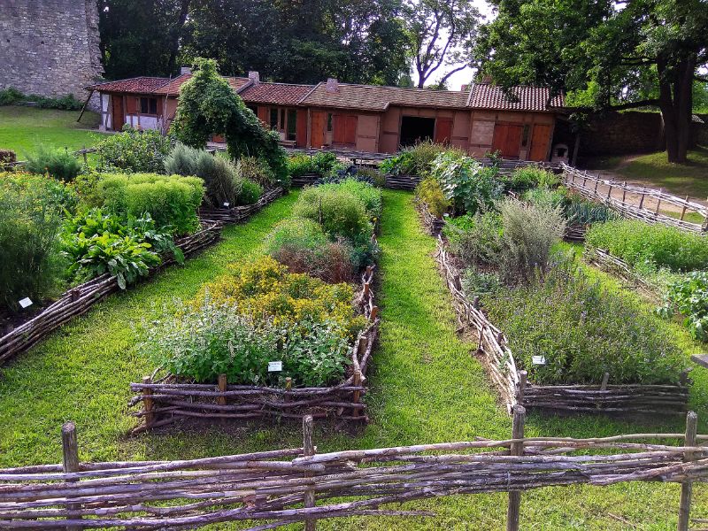 FOTO. Dārzu modē atgriezušās viduslaika dizaina dobes. Kā pie tādām ...