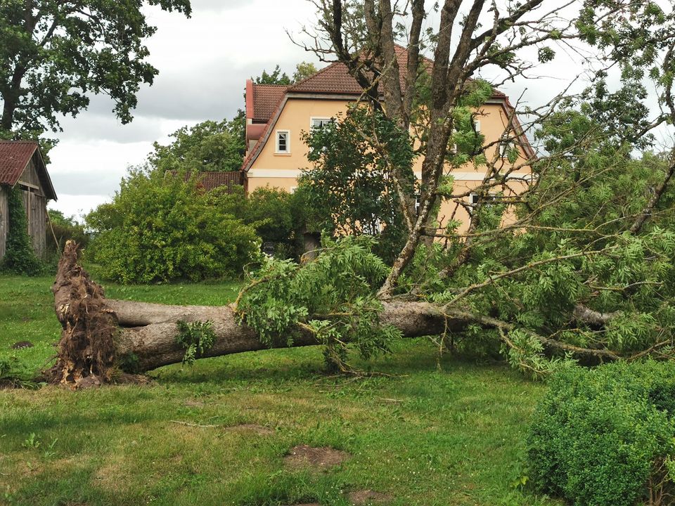 FOTO. VIDEO. Laikapstākļi šodien nežēlo – nolūzuši koki, aplauztas ...
