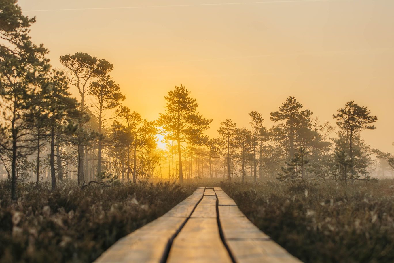 FOTO. TOP 8 brīvdienu galamērķi, kuros baudīt Latvijas gleznainās ainavas | Kokteilis.lv