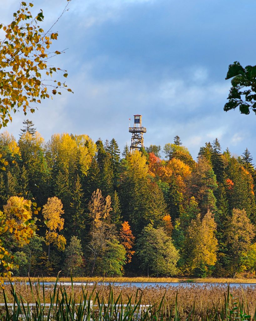 Otrdien debesis apmāksies, Vidzemē gaidāms stiprs lietus. Kad būs klāt ...