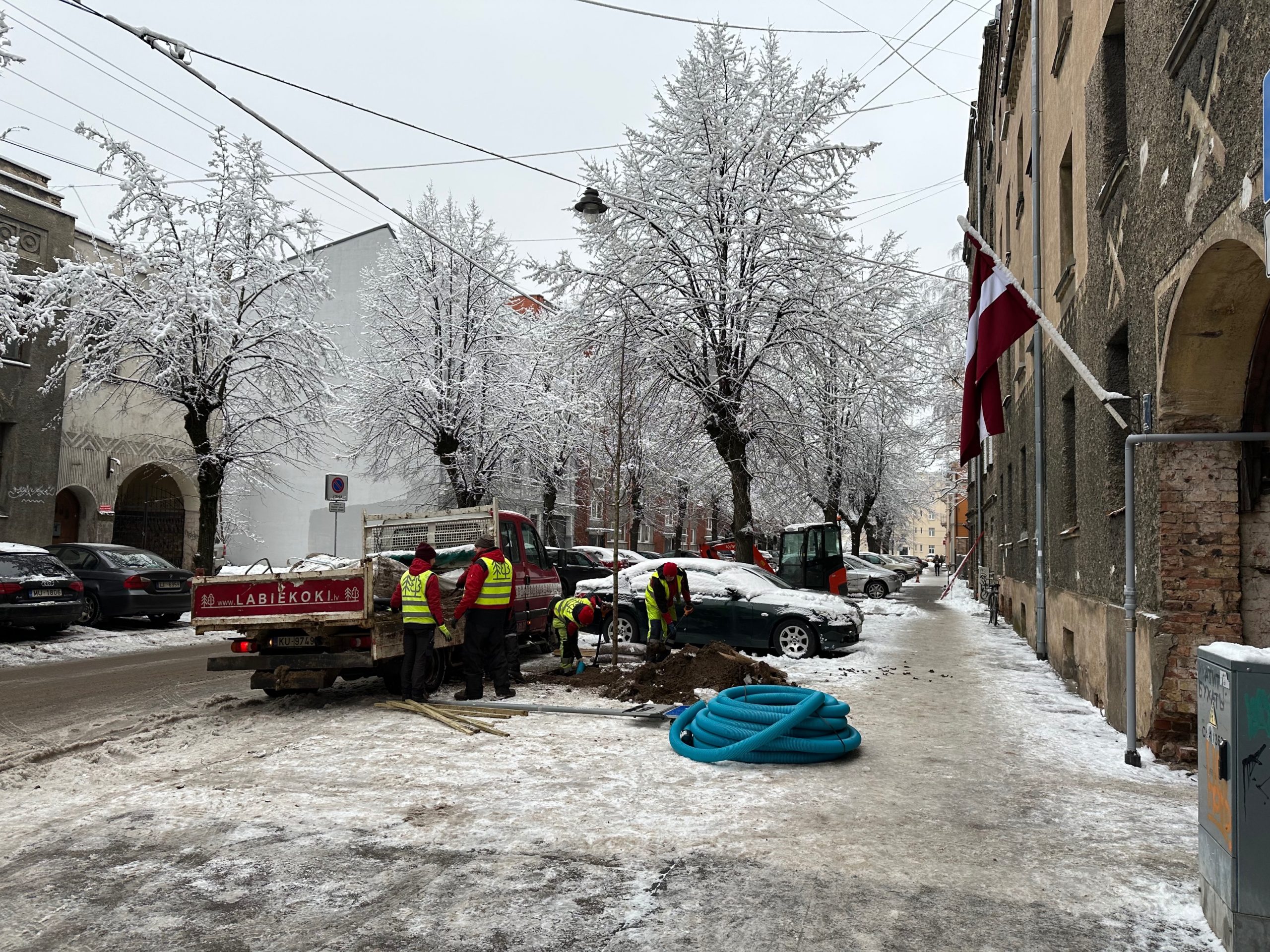 Novembra beigās, kad Rīgā sniegs un sals, pilsētā stāda kokus. Viss ...