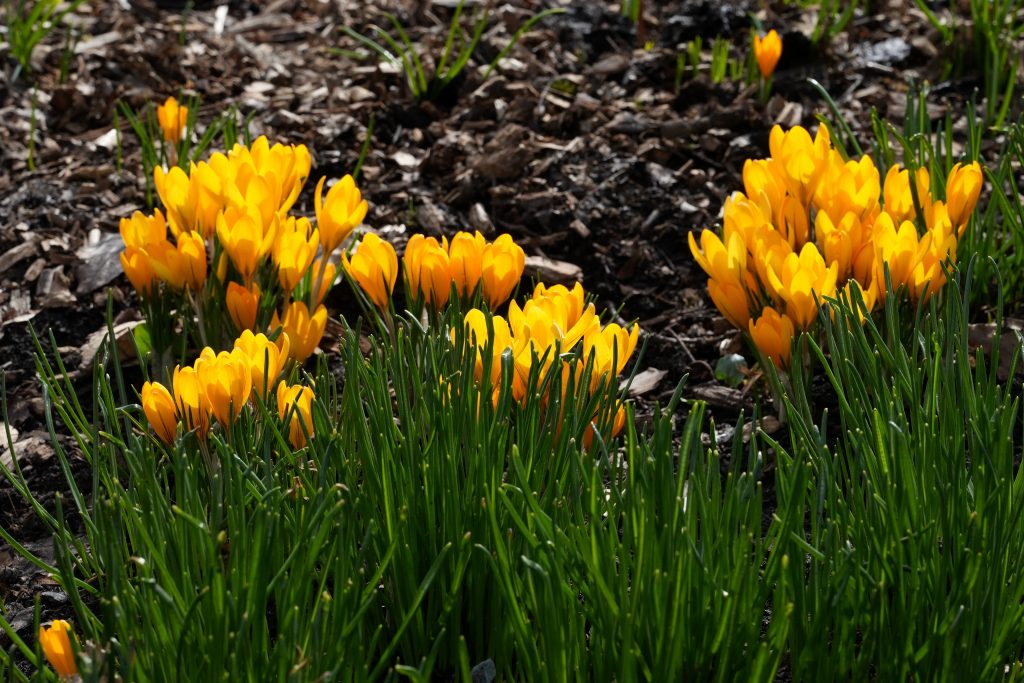 Klusā sestdiena gaidāma silta un saulaina | LA.LV