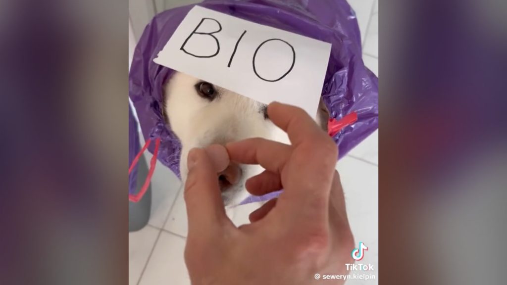 VIDEO. Asprātīgs padoms, kā pareizi šķirot bio atkritumus | LA.LV