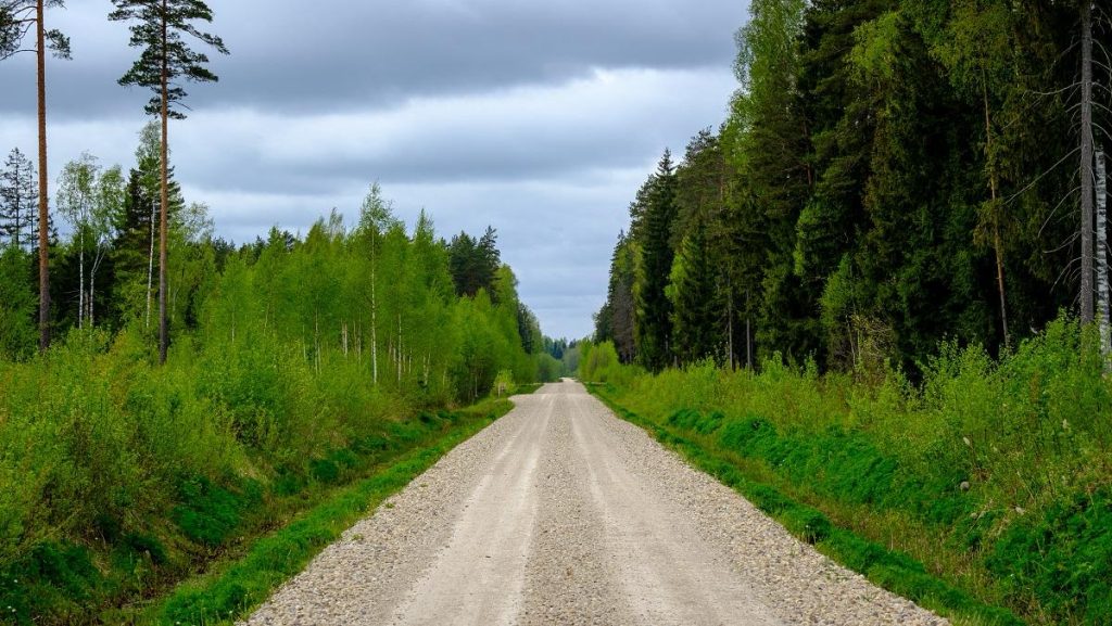 Kas jāņem vērā, pārvietojoties pa meža autoceļiem | LA.LV