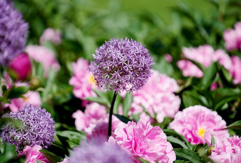 Naktī daudzviet gaidāmas skaidras debesis | LA.LV