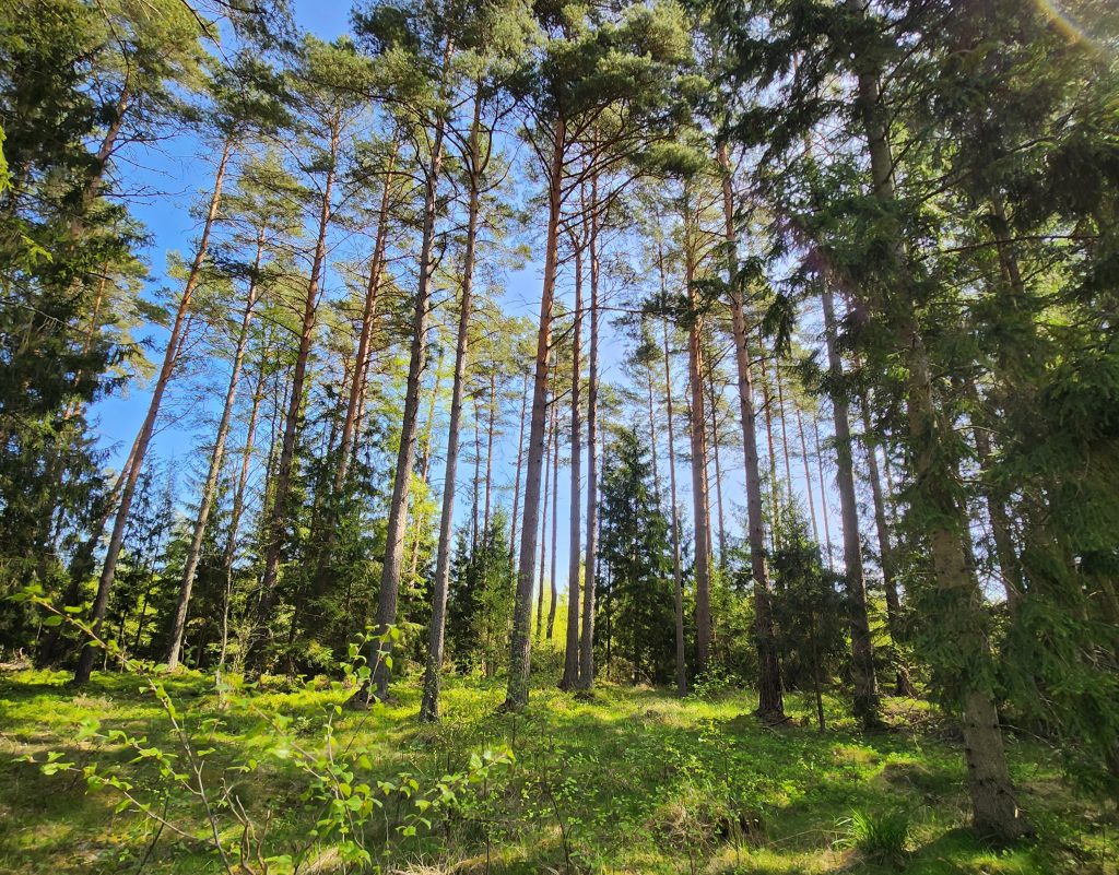 Otrdien saglabāsies skaidrs un silts laiks | LA.LV
