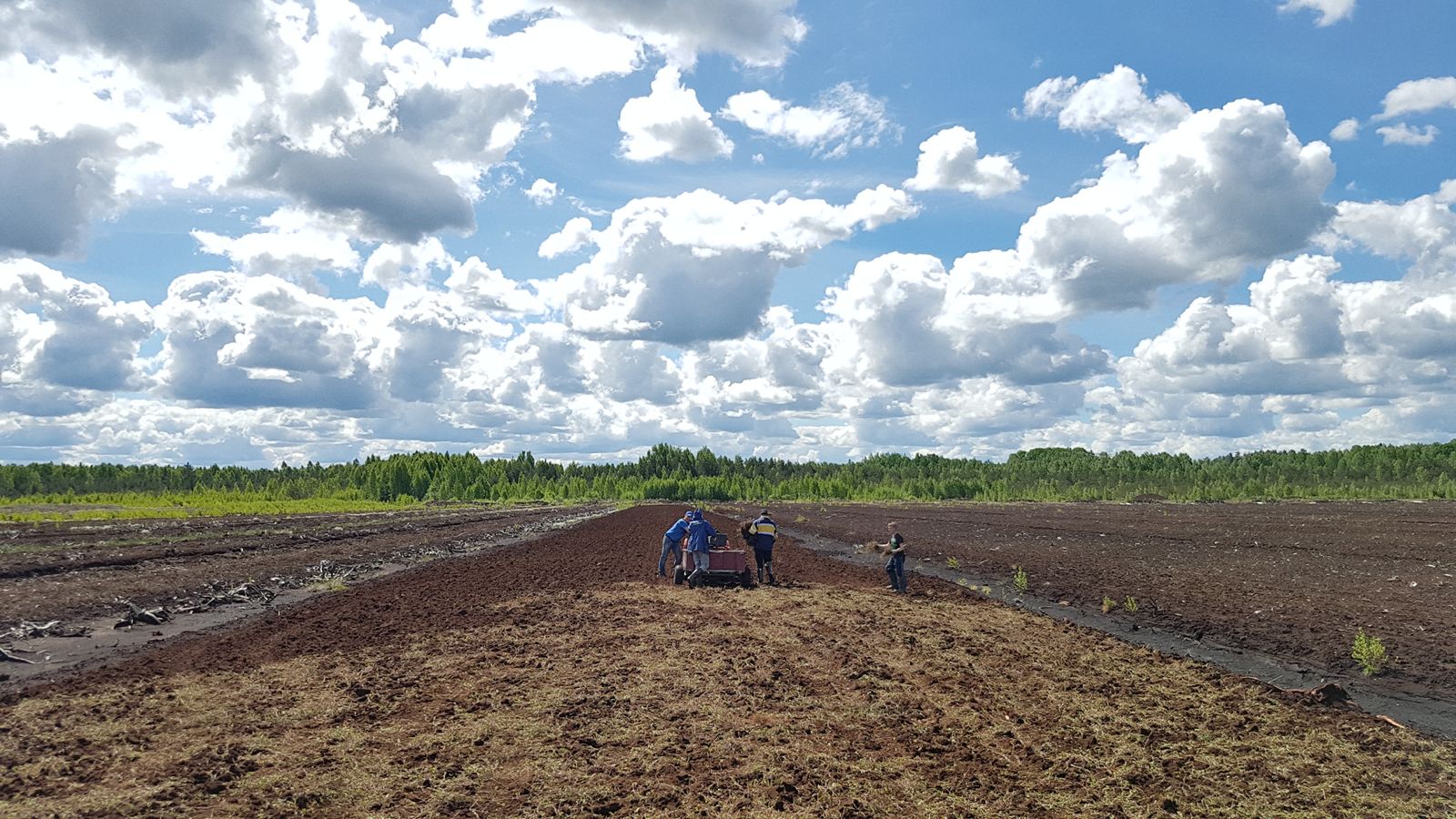 Vērtīgais resurss – kūdras purvi | LA.LV