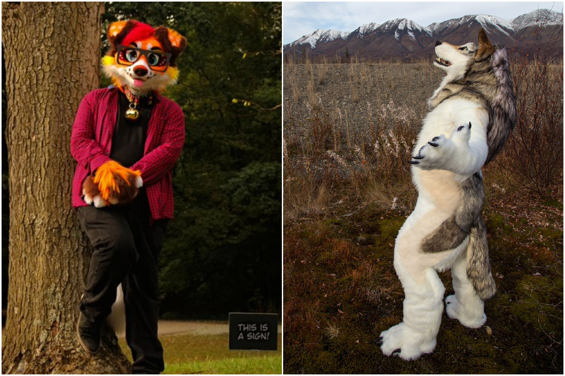 VIDEO. “Kvadroberi”, fūrijas, alti un citi zvēri mūsdienu pusaudžos ...