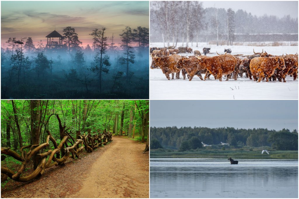FOTO. Unikāli skati! Noslēdzies fotokonkurss, kurā iemūžināta Latvijas ...