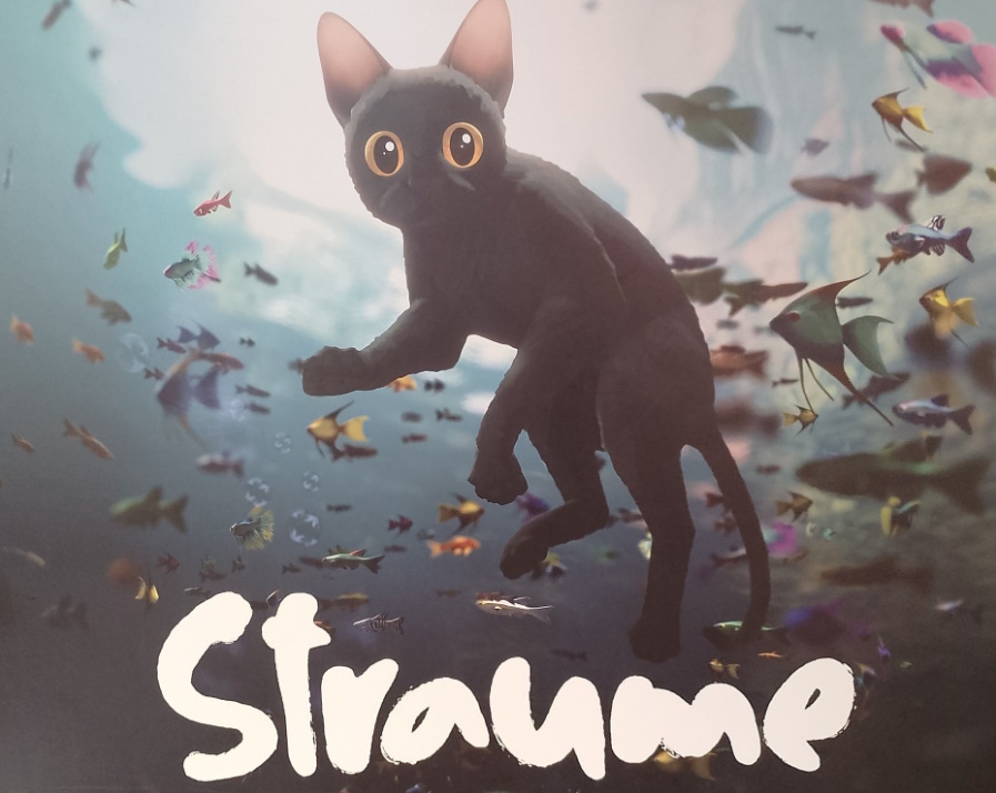 Animācijas fimas “Straume” panākumi mudinājuši noskaidrot, cik Latvijas ...